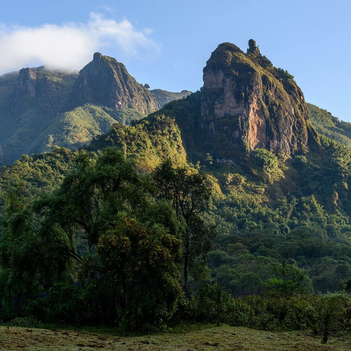 Ras Dashen: Conquering Ethiopia’s Highest Peak | Tour Hub Ethiopia
