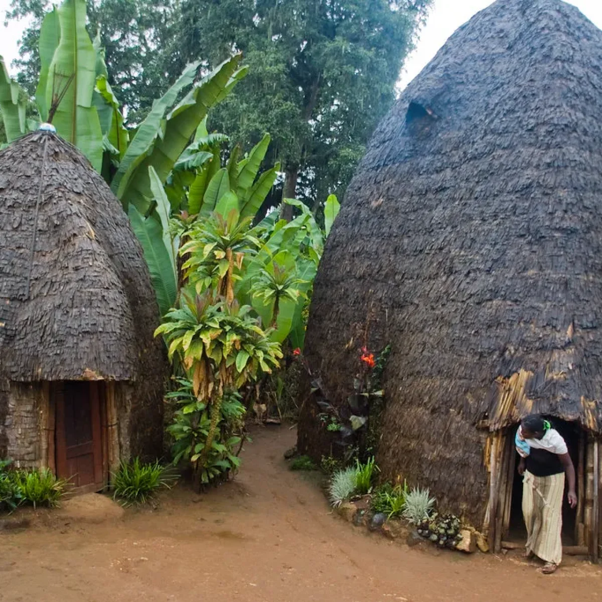 Dorze village: Experience the Culture and Tradition in Ethiopia | Tour ...