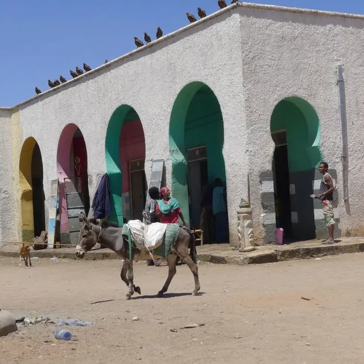 Exploring Harar Jugol Wall in Ethiopia: History & Culture | Tour Hub ...
