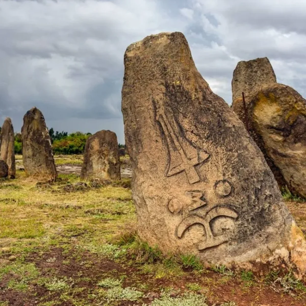 Human Origins in Ethiopia: The Cradle of Humanity | Tour Hub Ethiopia