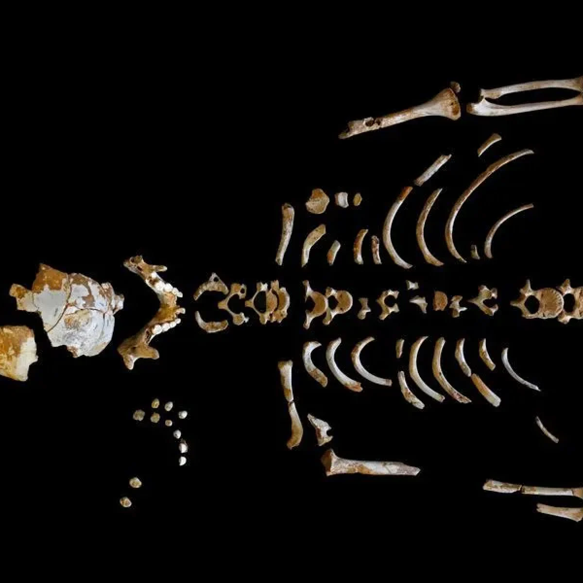 Human Origins in Ethiopia: Discover the Cradle of Humanity | Tour Hub ...